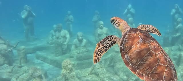 Under SXM: Caribbean Sculpture Snorkeling Adventure