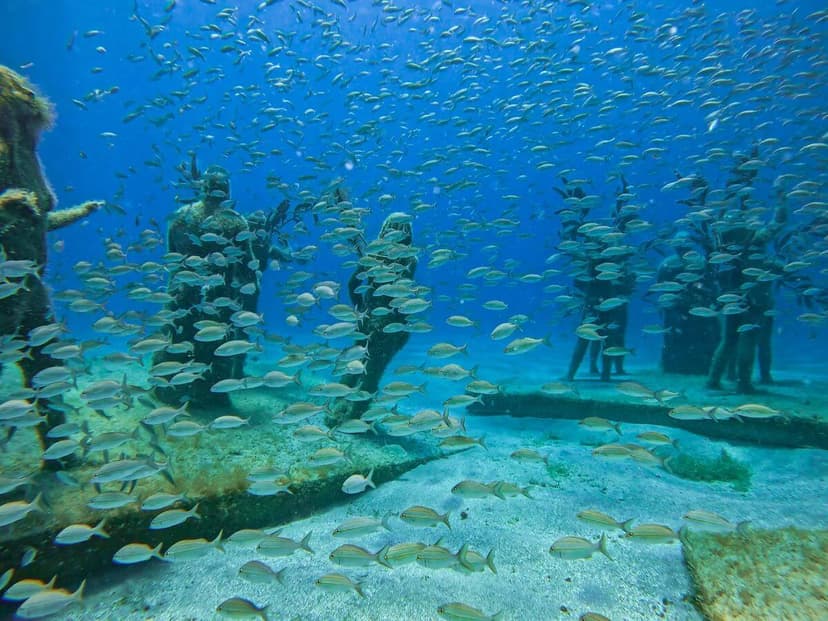 Under SXM: Caribbean Sculpture Snorkeling Adventure