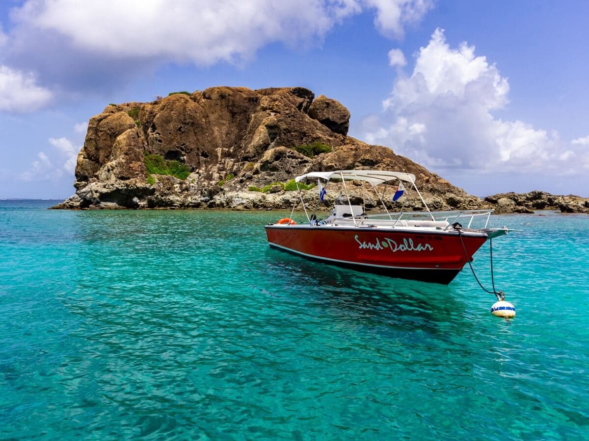 Under SXM: Caribbean Sculpture Snorkeling Adventure